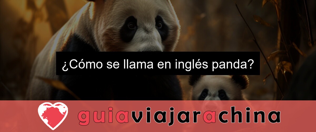 Oso panda information in English for kids - Viajar a China