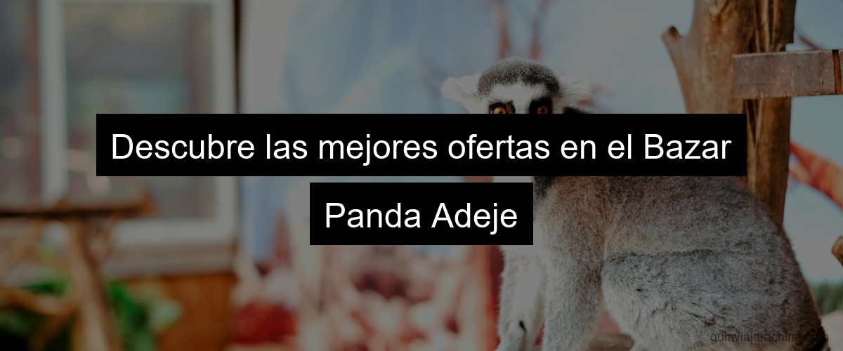 Panda Center | La mejor opción para tus necesidades - Viajar a China