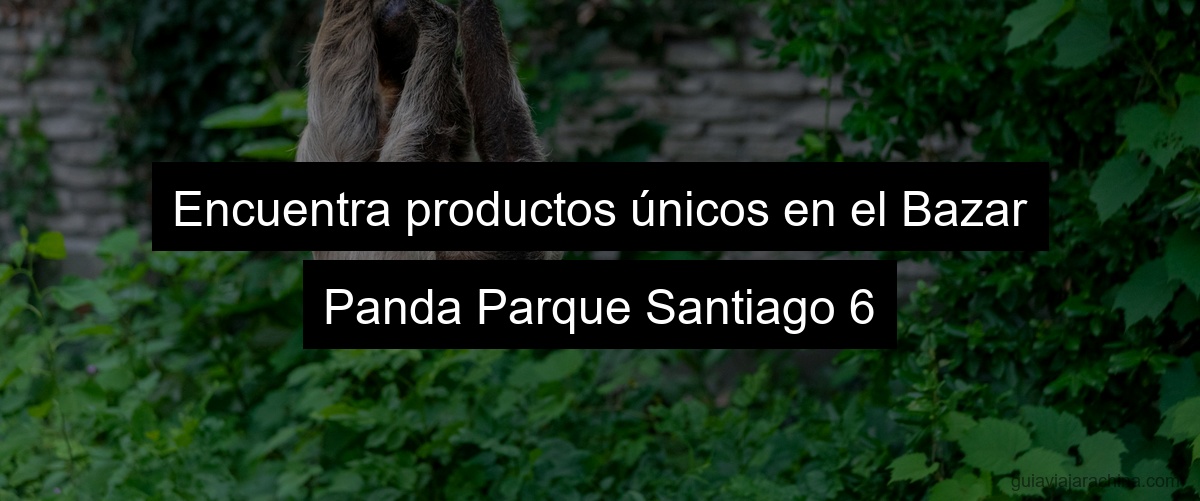 Panda Center | La mejor opción para tus necesidades - Viajar a China
